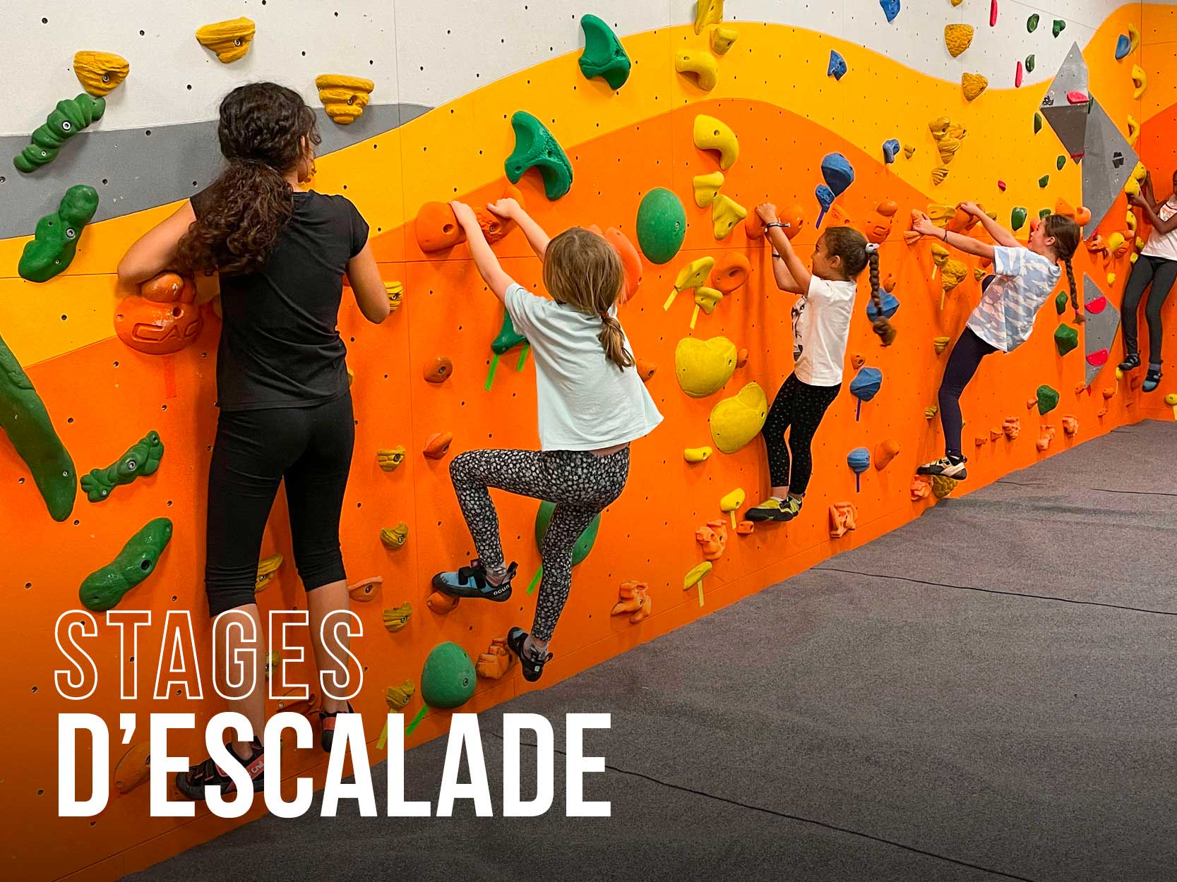 Découvrez les stages d'escalade enfants pendant les vacances